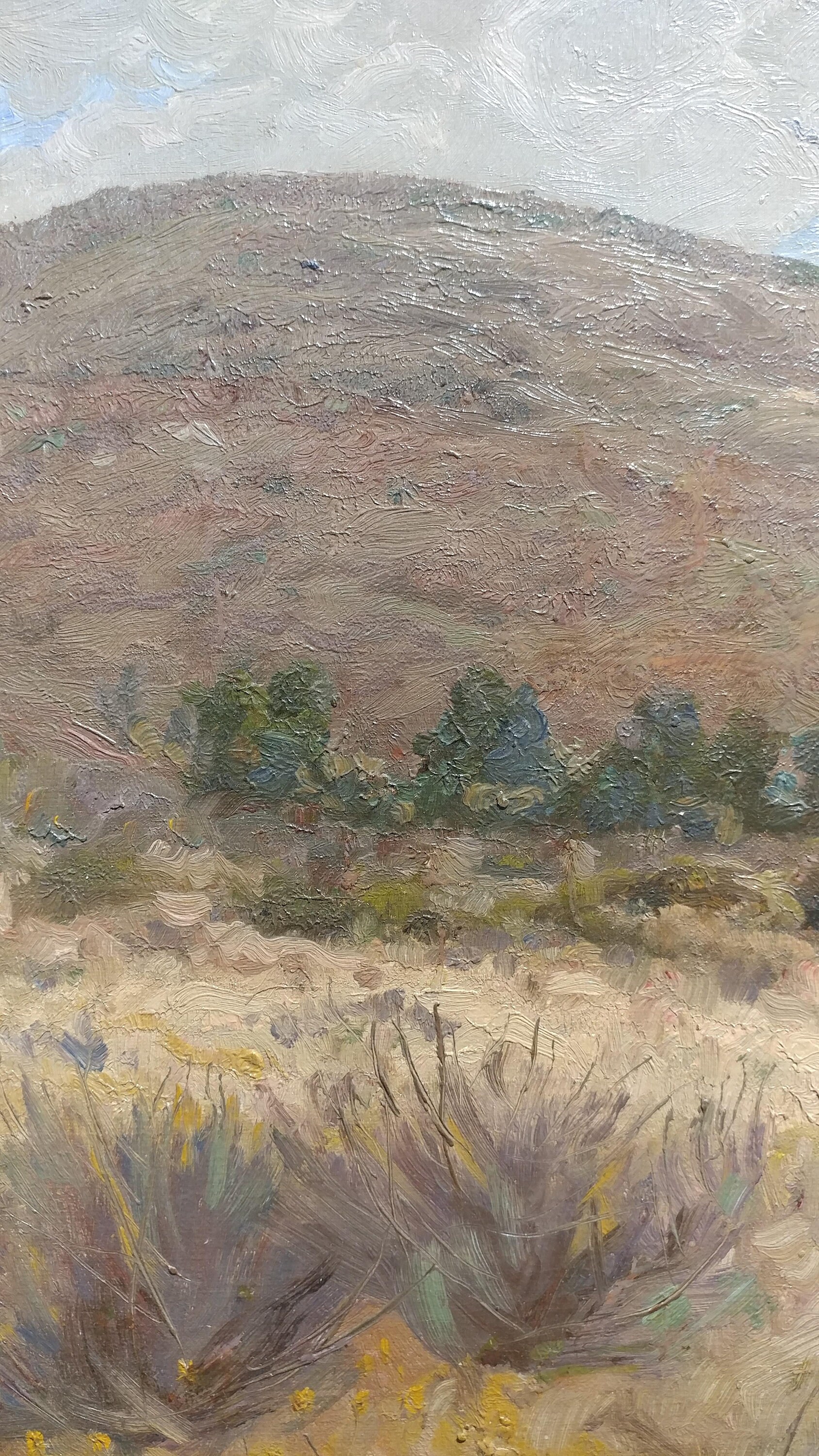 George Gardner Symons Hills at Laguna Canyon, California Impressionist ...