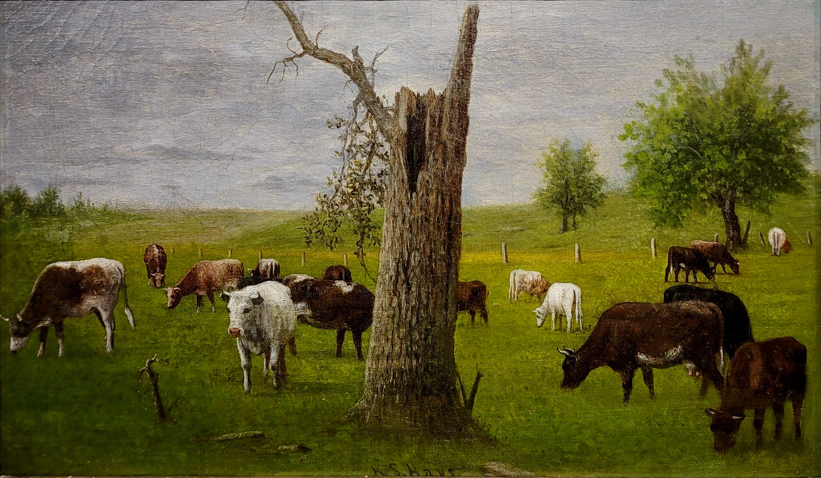 Barton Stone Hays -cows Grazing in a Pastoral Landscape-19th Century ...