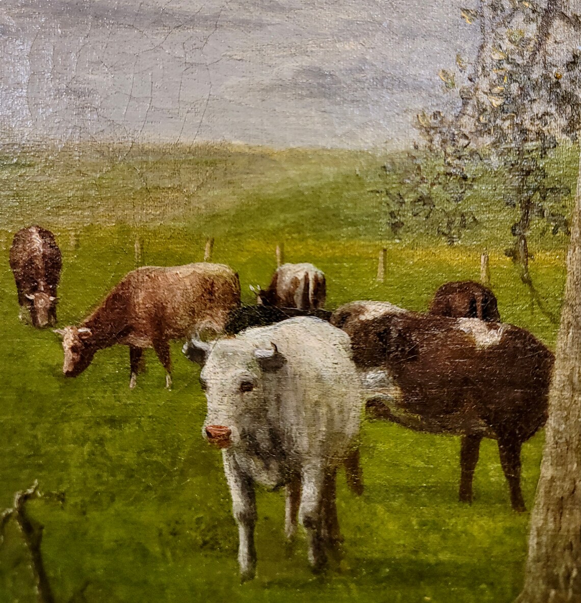 Barton Stone Hays -cows Grazing in a Pastoral Landscape-19th Century ...