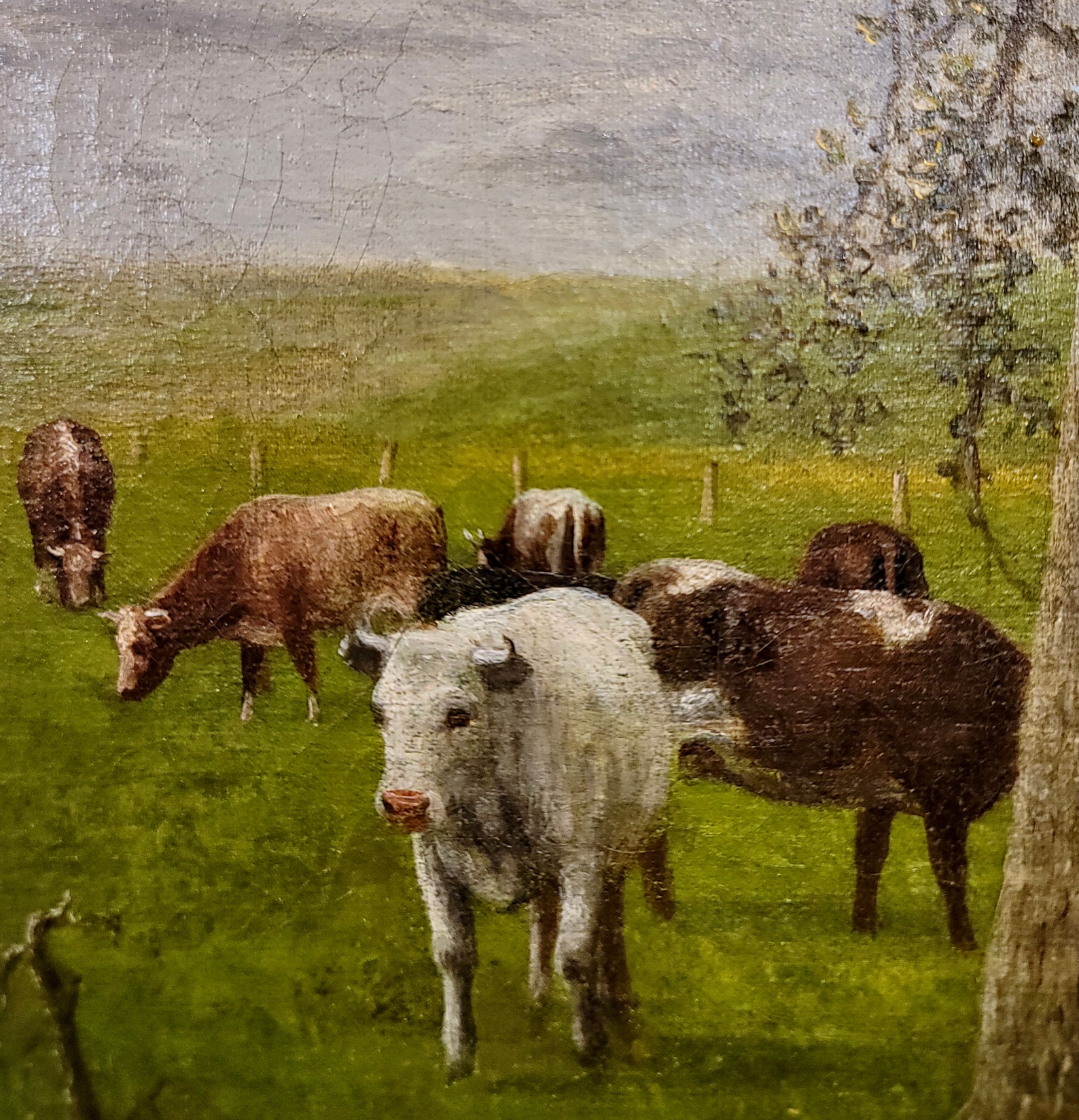 Barton Stone Hays -cows Grazing in a Pastoral Landscape-19th Century ...