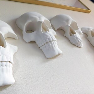 Full Size Skull Wall Art Sculpture | Set of 4 Human Skulls | Gothic 3D ...