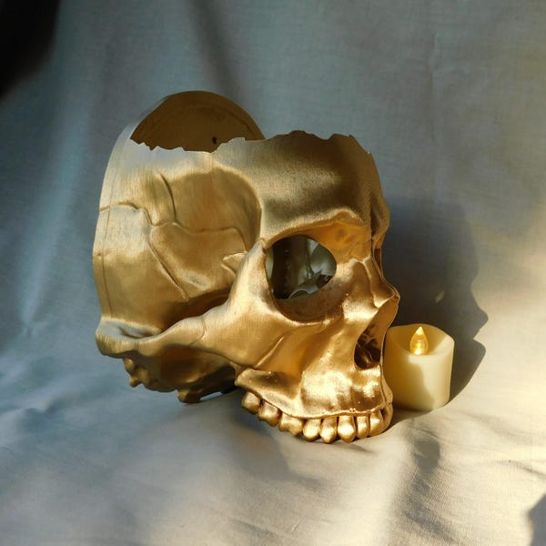 Skull Wall Sconce - Etsy