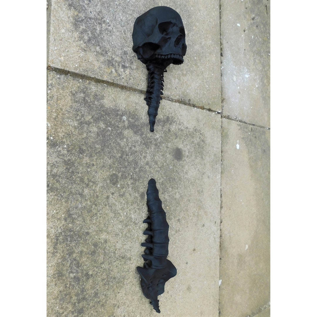 Skull and Spine Life Size Replica, Wall Mounted Gothic Décor 3D Printed ...