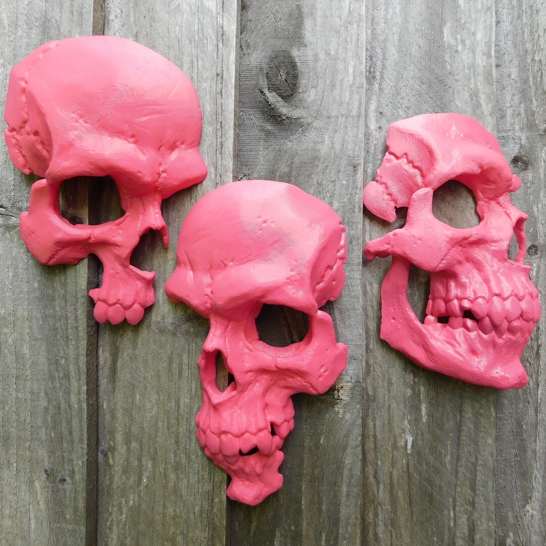 Pink Skulls Wall Art Set of 3, Decayed Style 3D Printed Human Skulls - Etsy