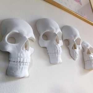 Full Size Skull Wall Art Sculpture | Set of 4 Human Skulls | Gothic 3D ...