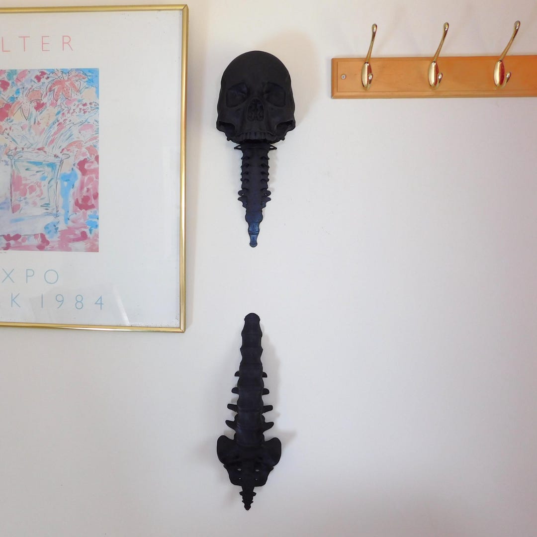 Skull and Spine Wall Mount Life Size Replica Gothic Décor | 3D Printed ...