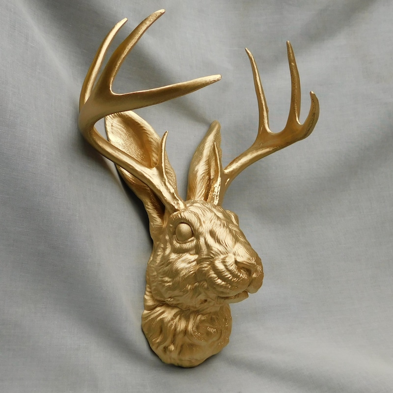Jackalope Taxidermy - Etsy