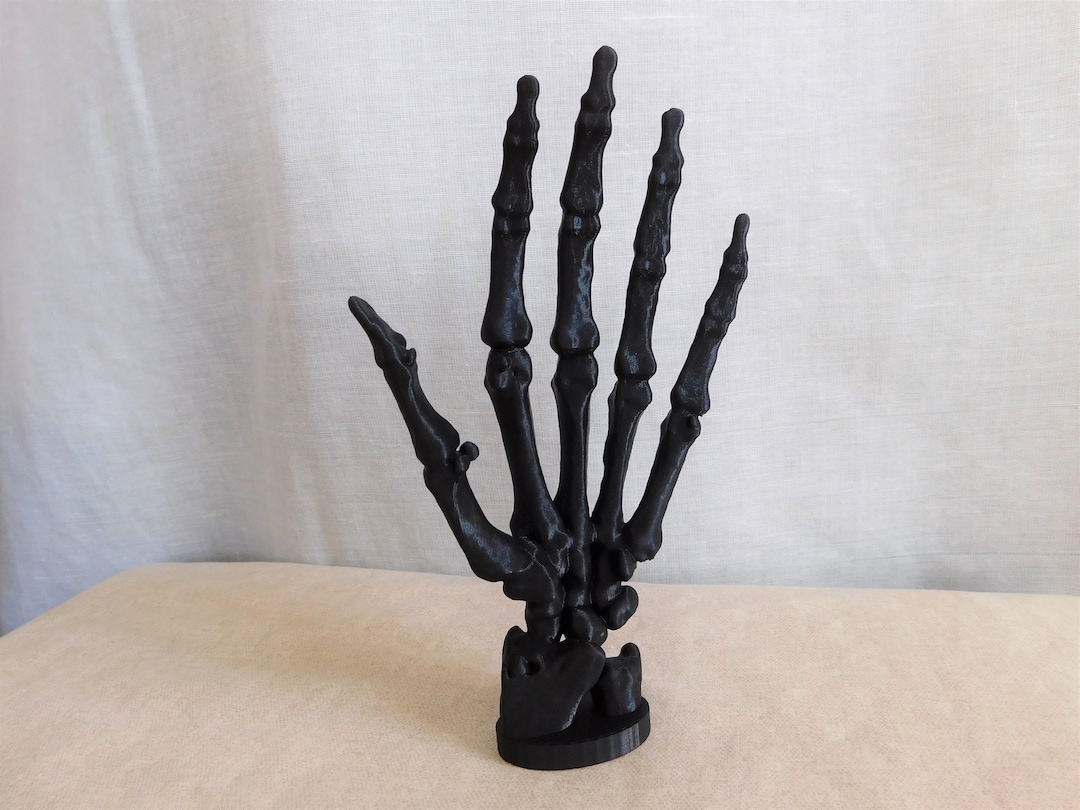 Skeleton Hand, Full Size Wall Mounted Ornament | Skeletal Human Hand ...
