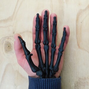 Skeleton Hand, Full Size Wall Mounted Ornament | Skeletal Human Hand ...