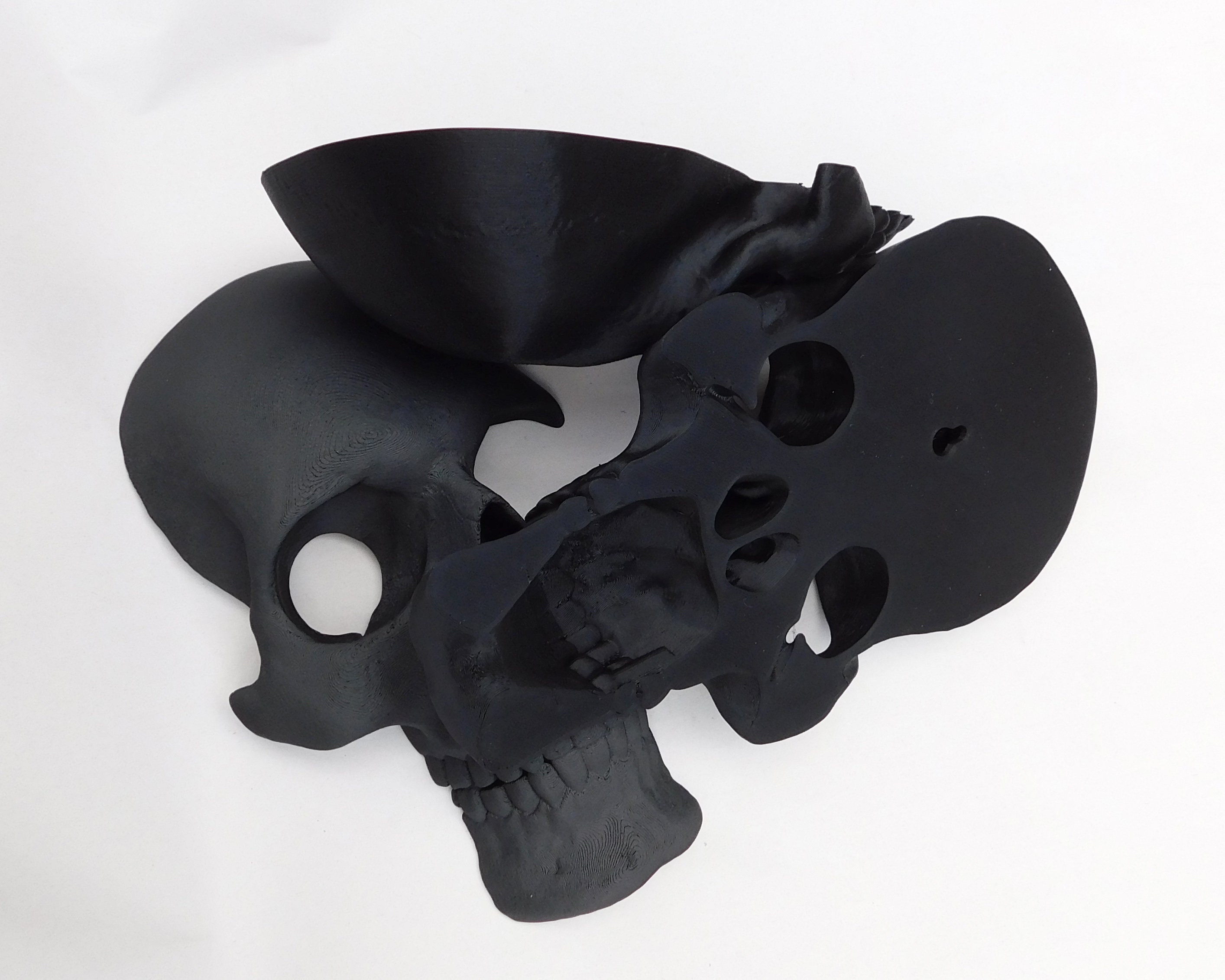 Full Size Human Skull Decor Set of 3 Wall Mounted Gothic - Etsy