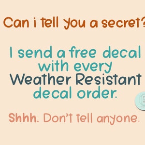 Funny Saline Flush Vinyl Sticker. Stocking Stuffer. Gift for - Etsy