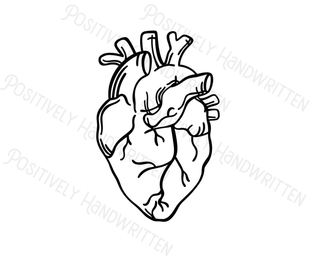 Anatomical Heart PNG: Heart Warrior, CHD Awareness (digital File) - Etsy
