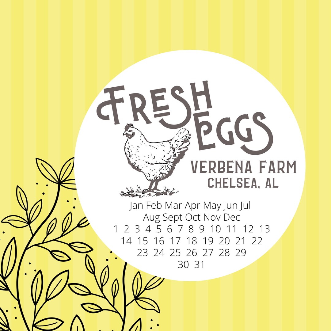 Custom Egg Carton Label Template | Fresh Egg Label - Etsy