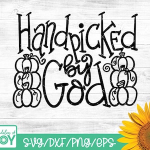 Handpicked by God Svg, Fall Svg, Pumpkins Svg, Christian Fall Svg ...