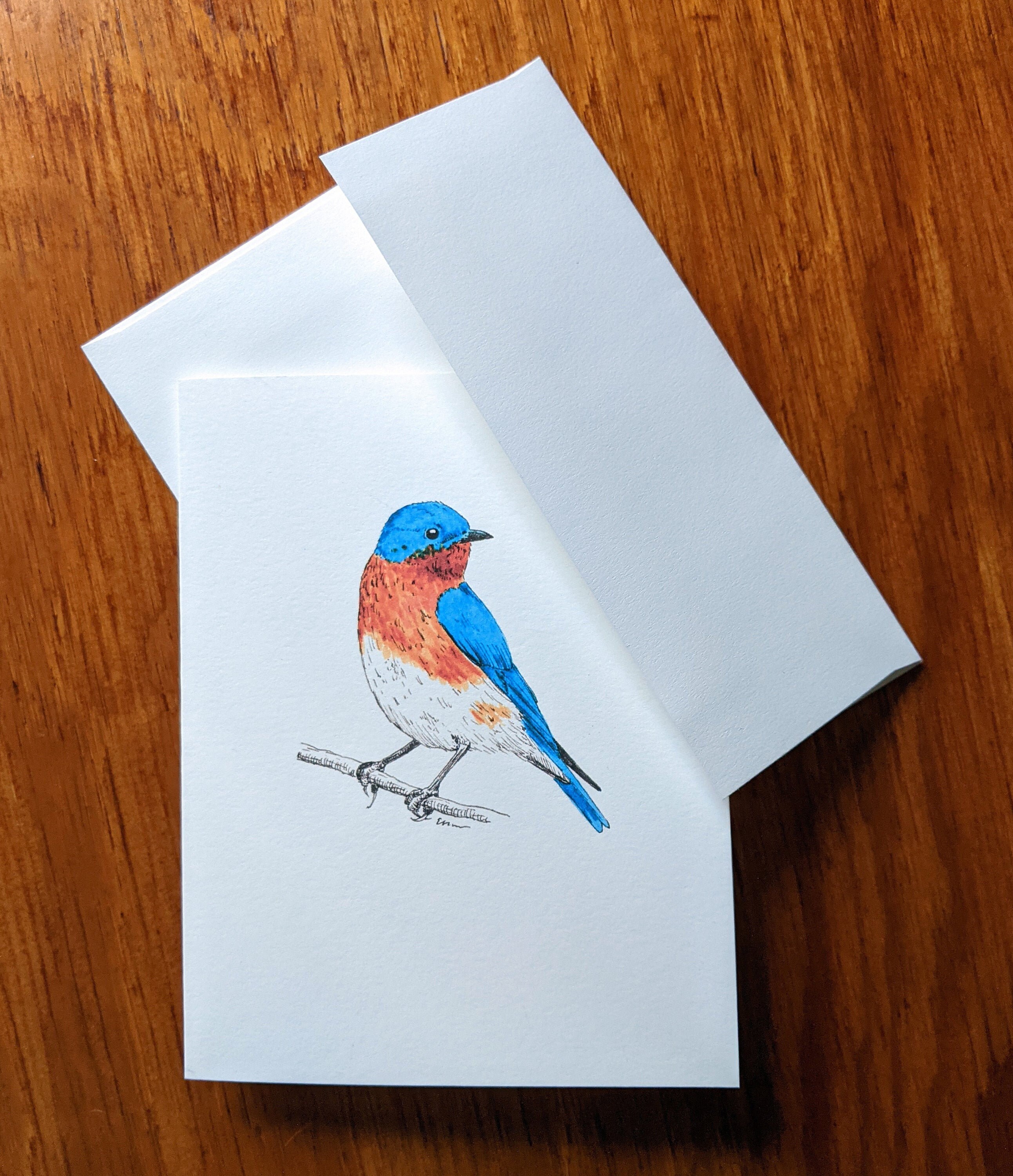 Blank Note Cards - Eastern Bluebird - Etsy
