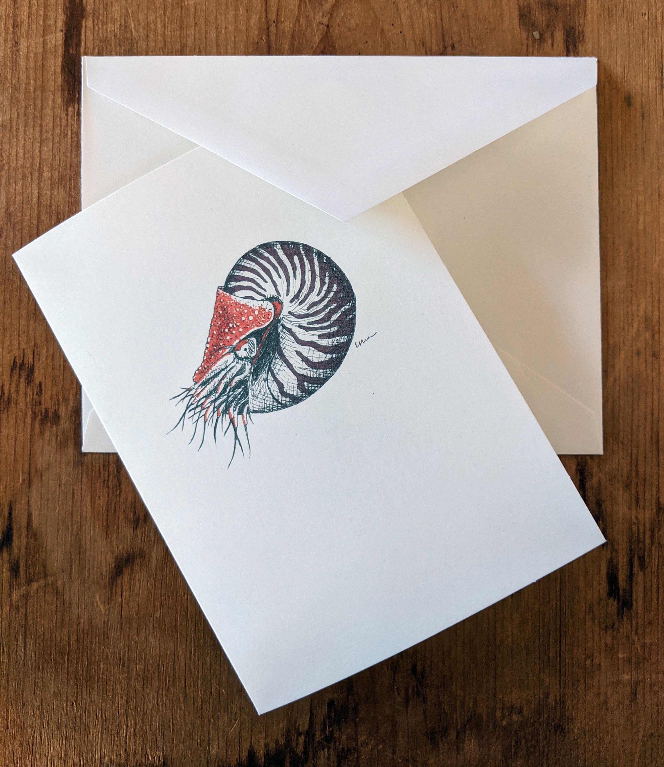 Blank Note Cards Nautilus - Etsy