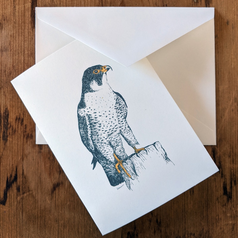Peregrine Falcon - Etsy