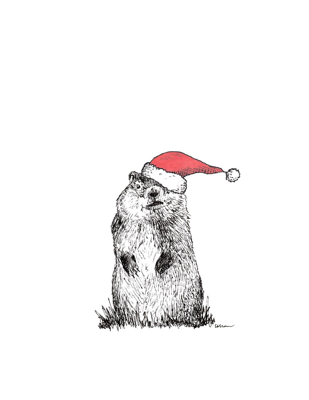 Variety Pack Holiday Cards blank Animals - Etsy