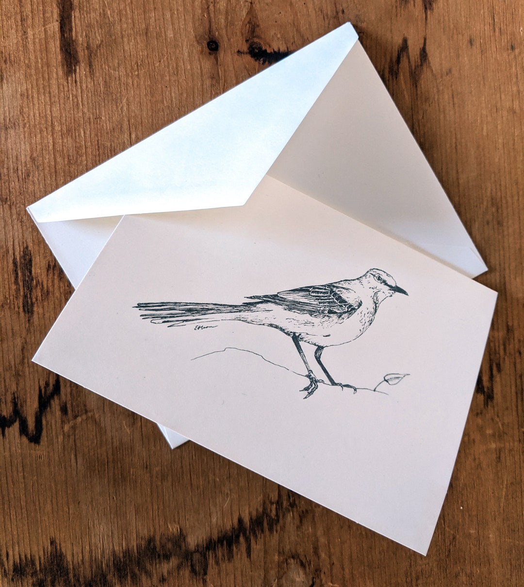 Blank Note Cards - Mockingbird - Etsy