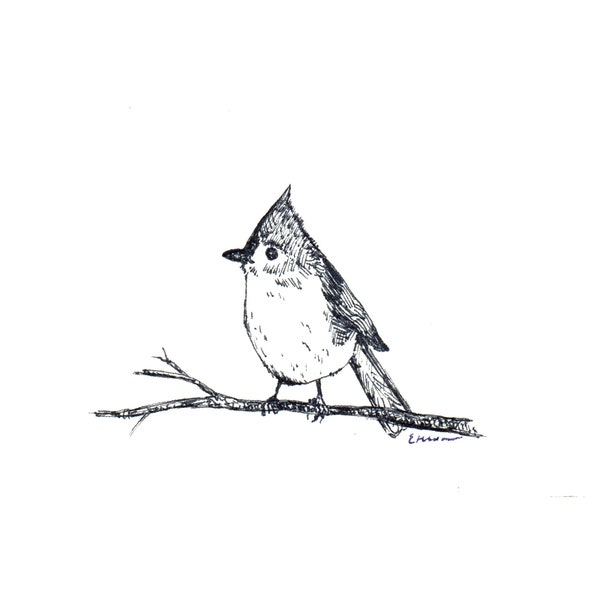 Tufted Titmouse - Etsy