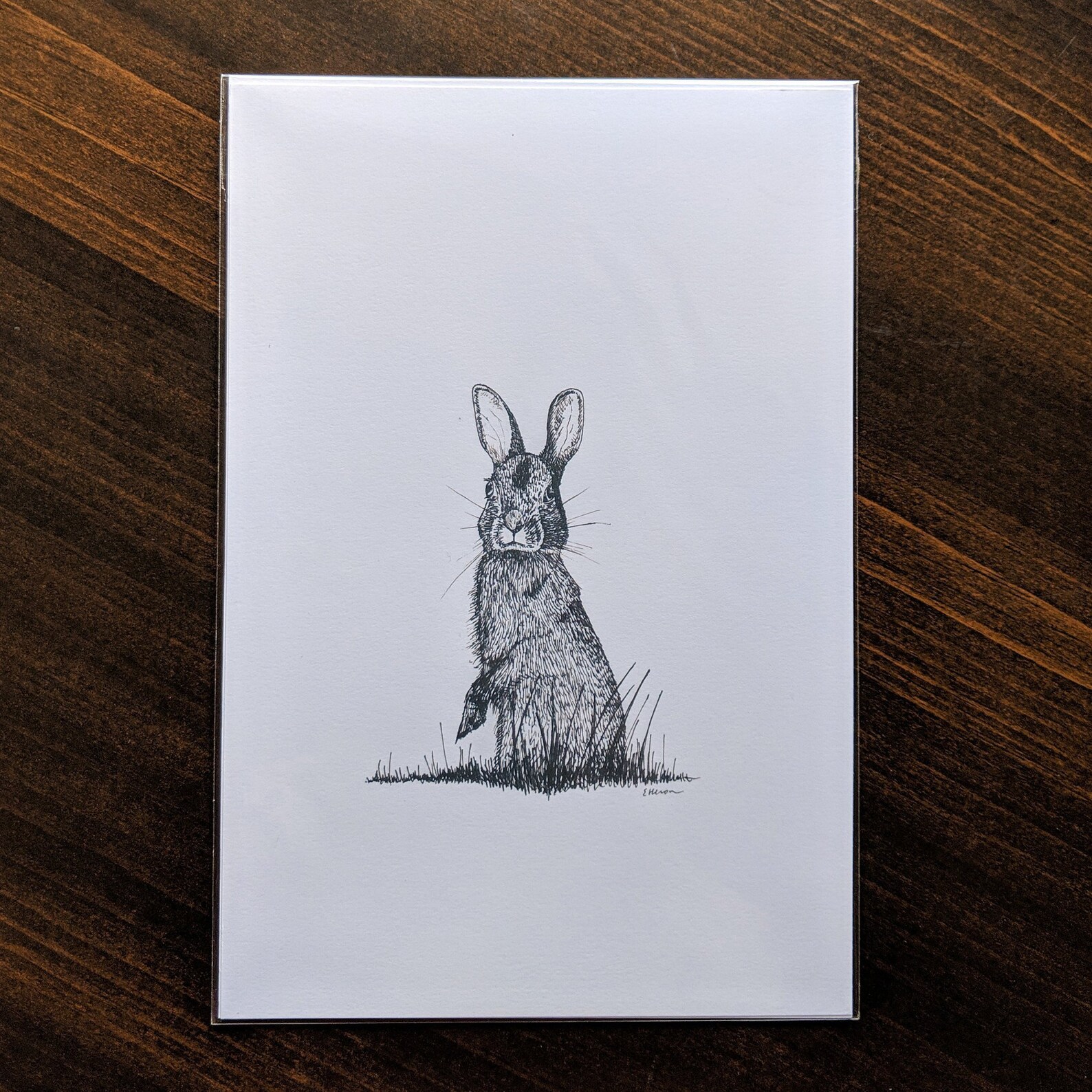 Eastern Cottontail Rabbit Print - Etsy