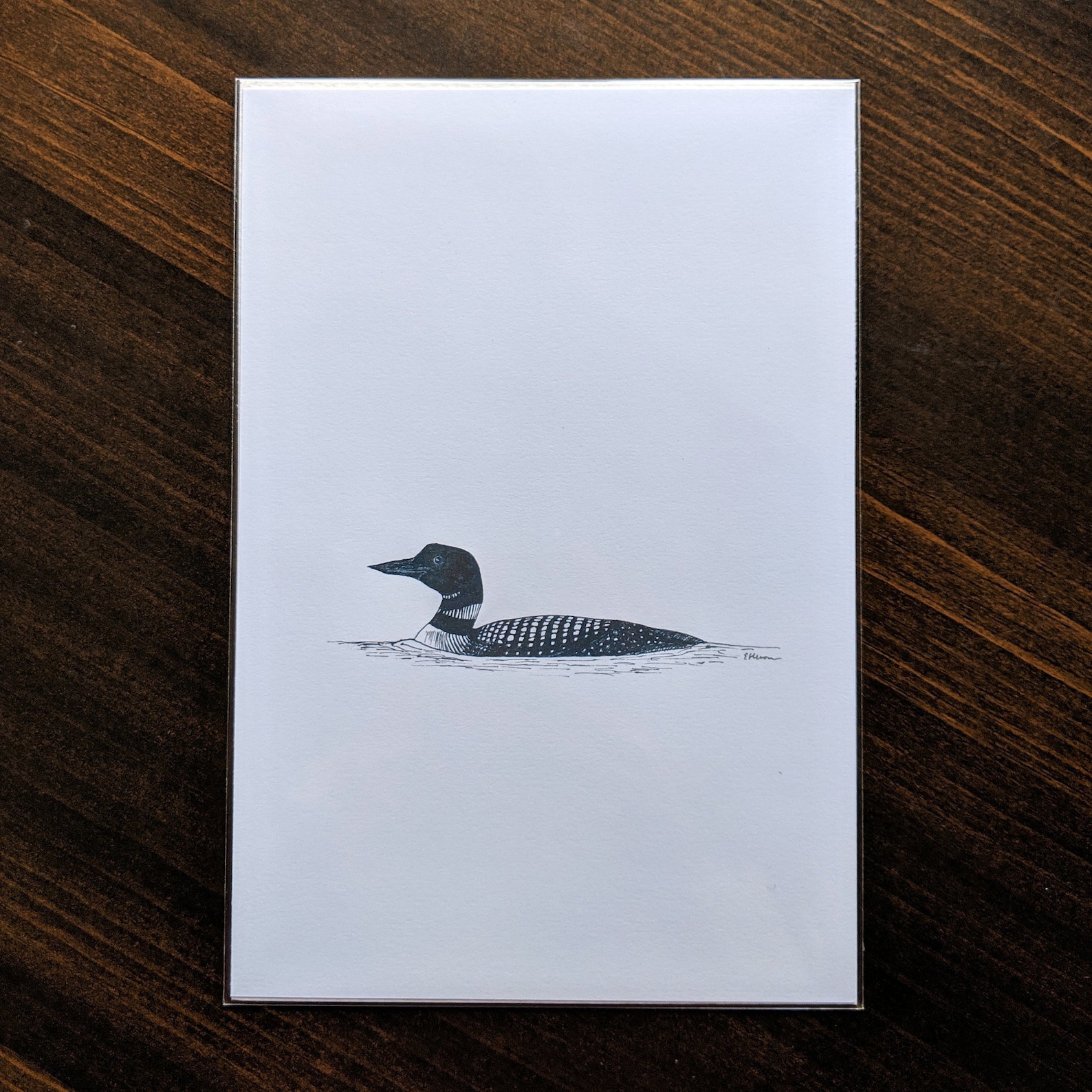 Common Loon - Print - Etsy