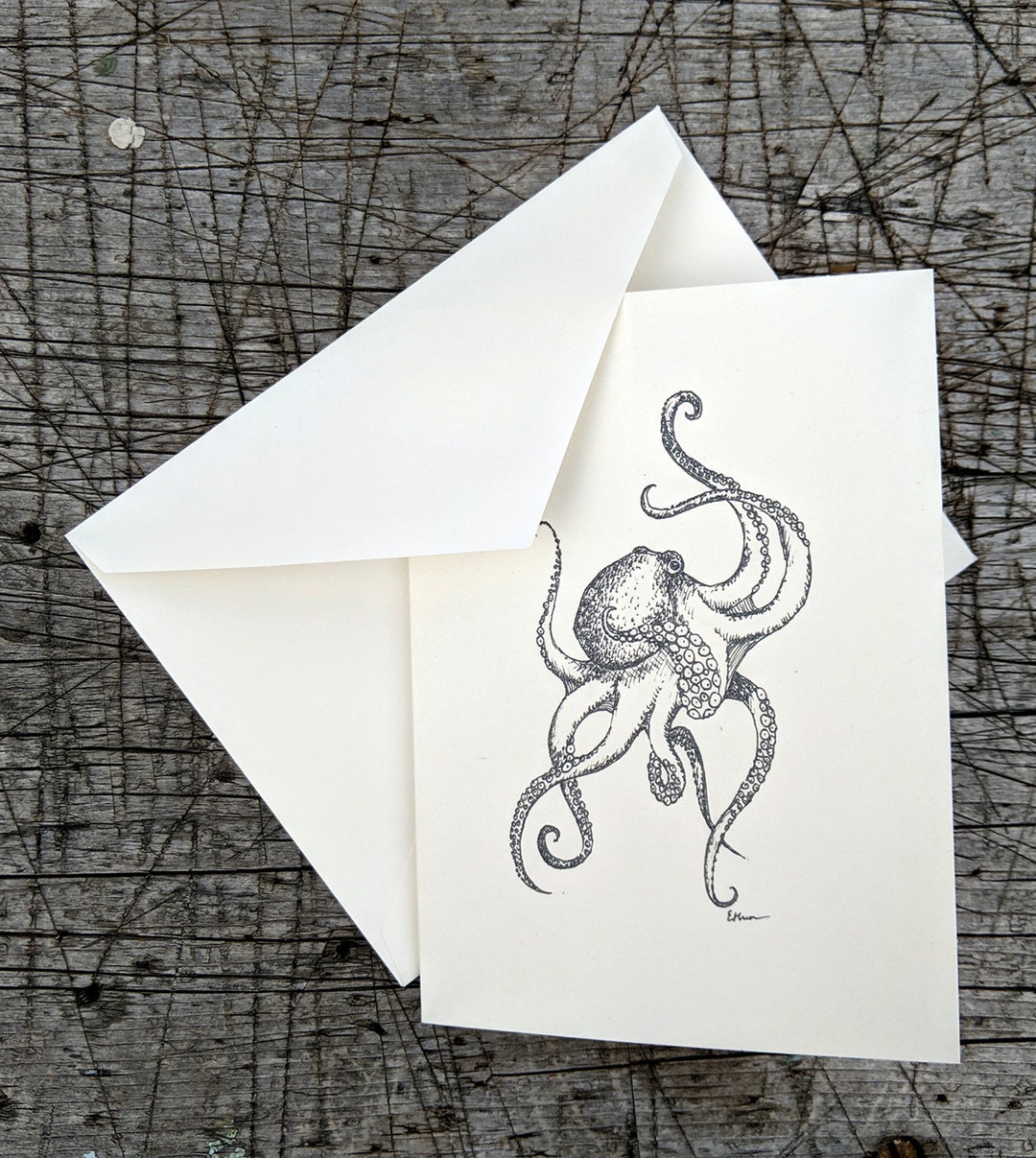 Blank Note Cards - Giant Pacific Octopus - Etsy