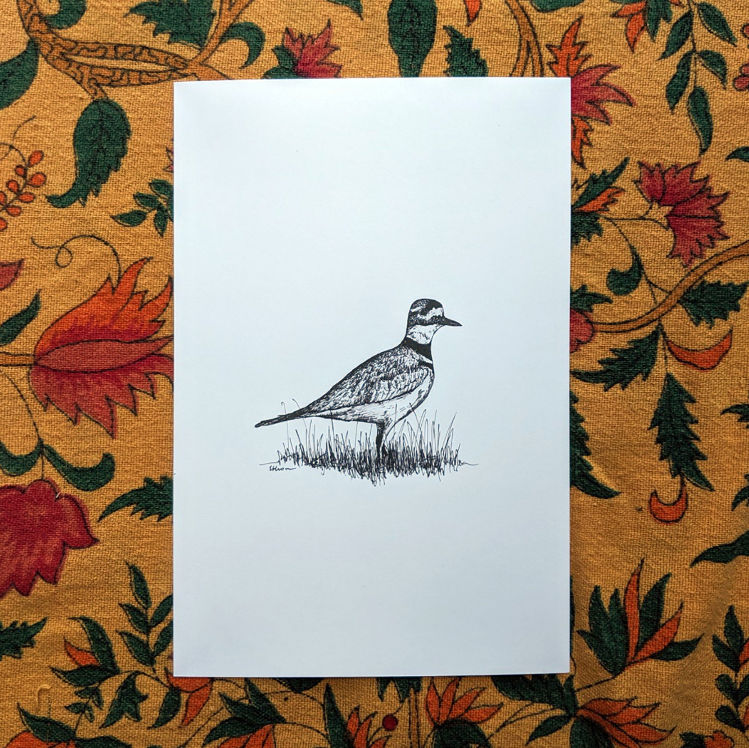 Killdeer - Print - Etsy