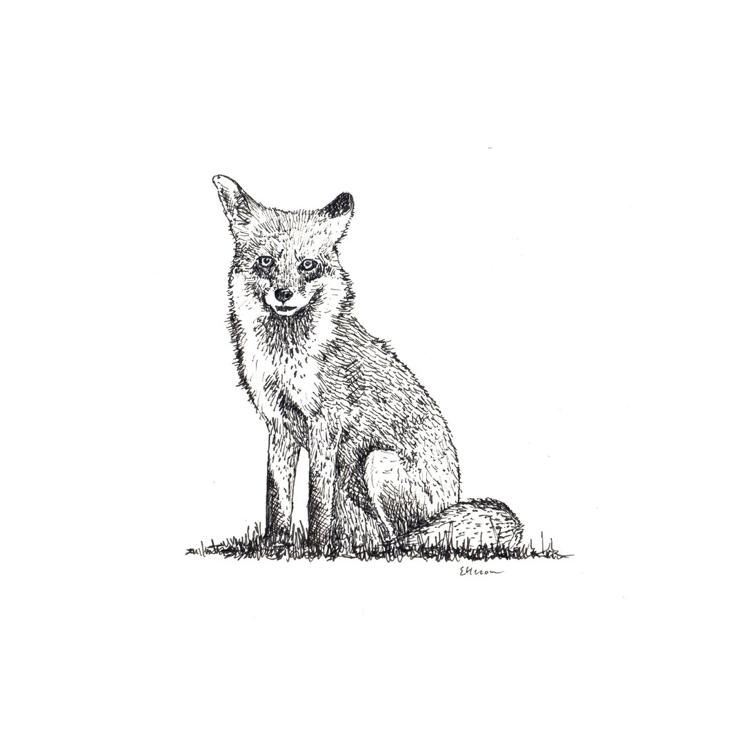 Red Fox - Print - Etsy
