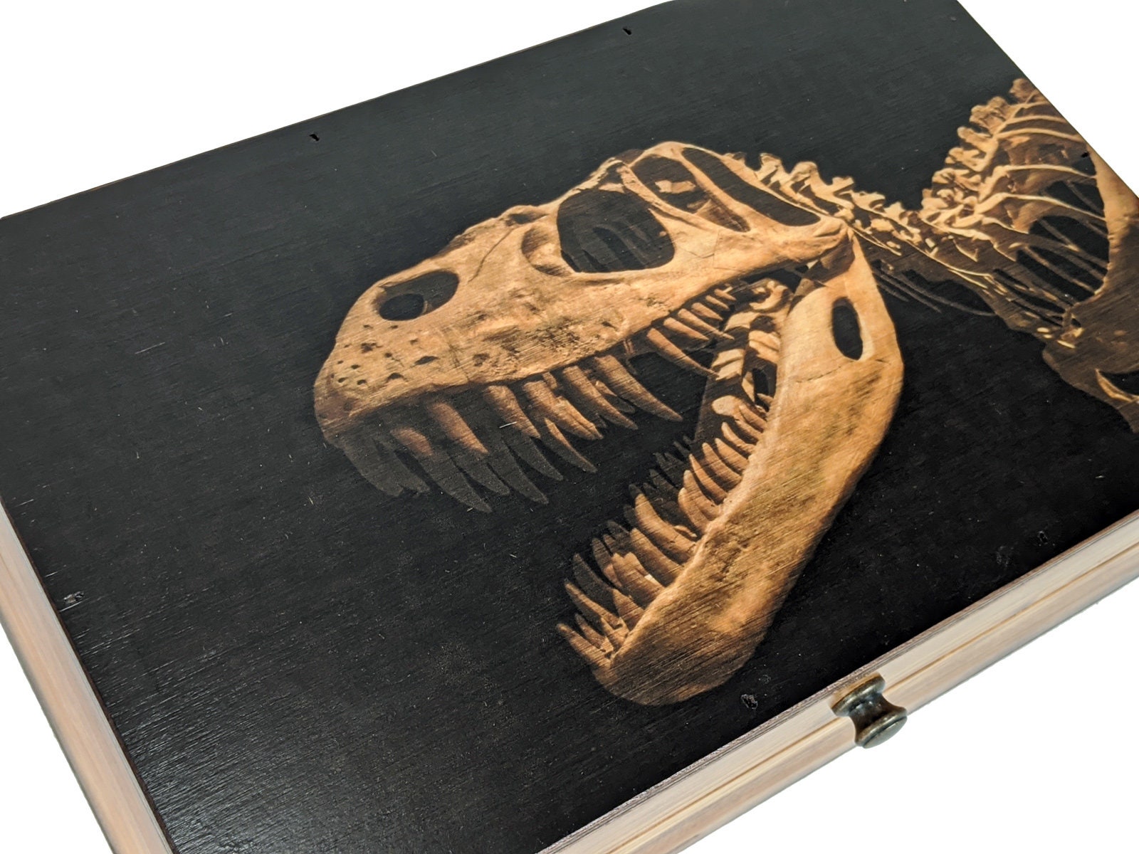 Tyrannosaurus Rex Skeleton Medium Wood Box | Etsy