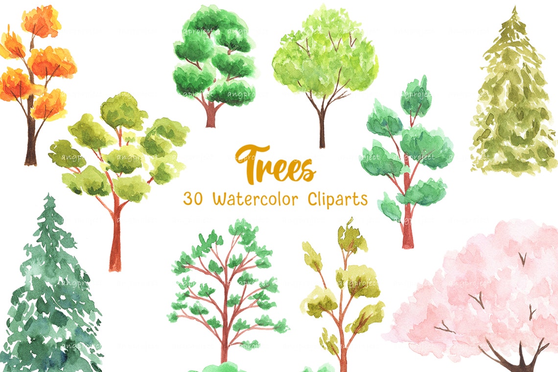 Watercolor Trees Clipart Watercolor Pine Tree PNG Watercolor - Etsy