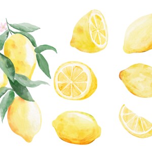 Lemon Fruit Watercolor Clipart, Lemonade Image, Watercolor Fresh Orange ...