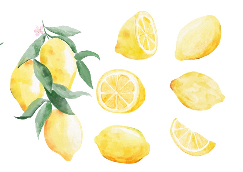 Lemon Fruit Watercolor Clipart Lemonade Image Watercolor - Etsy