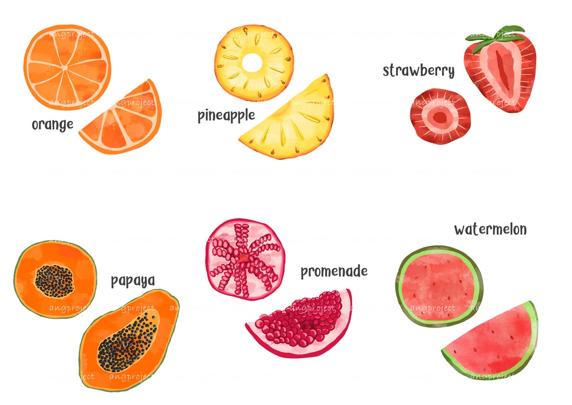 Slice Fruit Clipart Tropical Fruit PNG Fruit Image for - Etsy