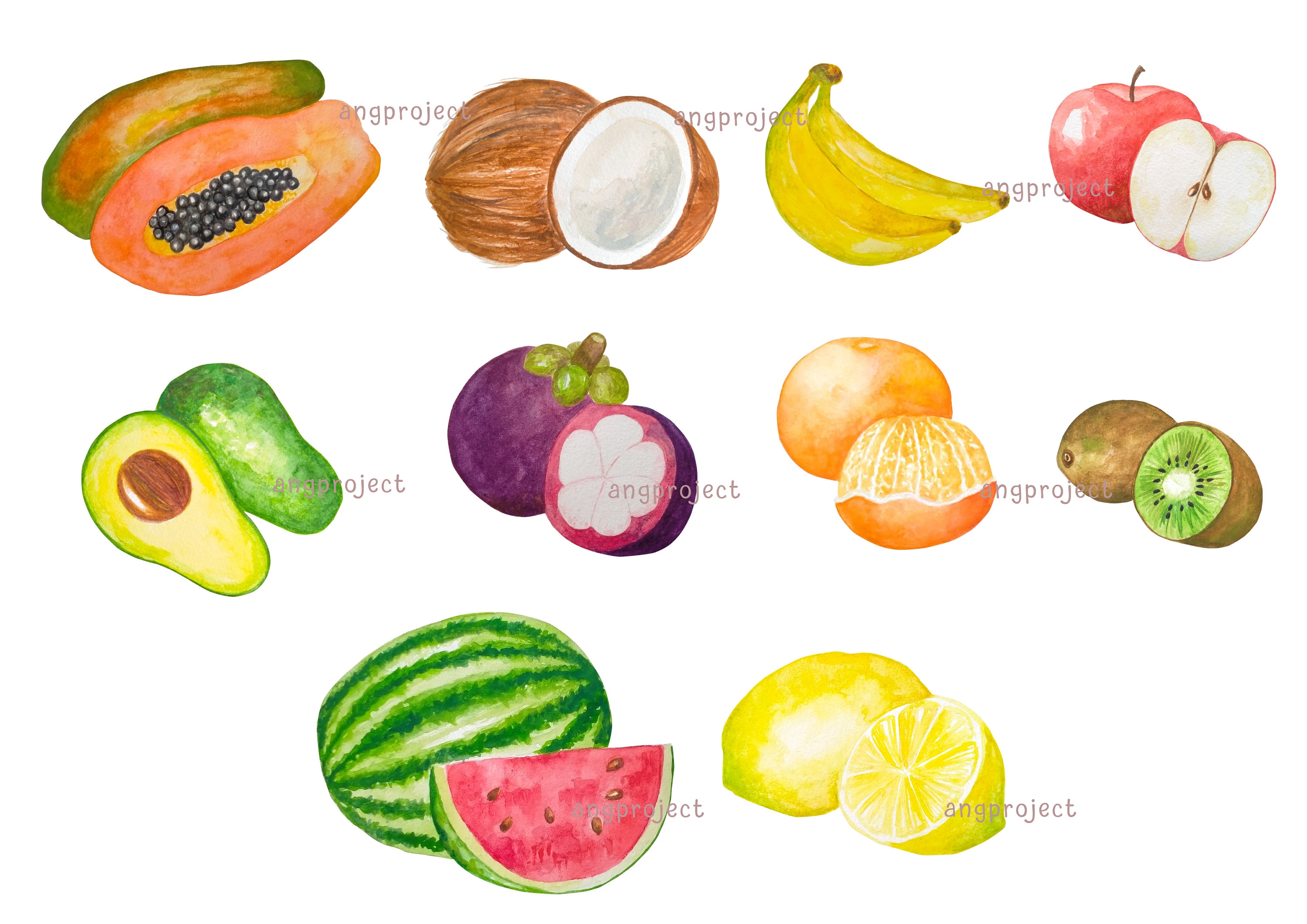 Fruit Watercolor Clipart-fruit Clip Art-tropical Fruit Clip Art-summer ...