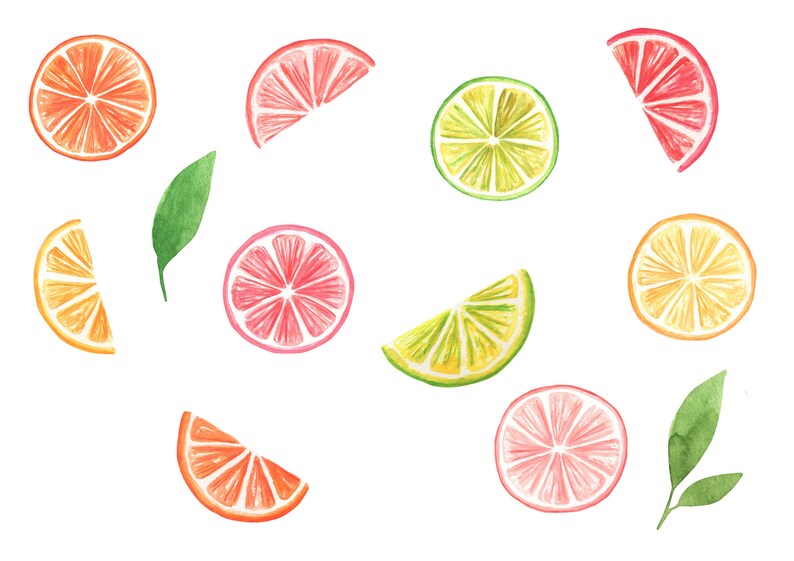 Watercolor Orange Slice Clipart, Citrus Slice Clipart, Orange ...