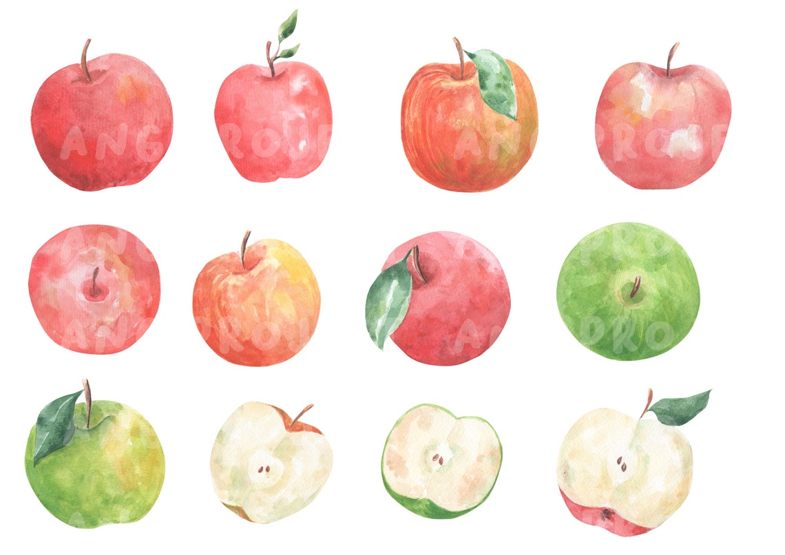 Apple & Pear Watercolor Clipart: Summer Fruit PNG (digital Download) - Etsy