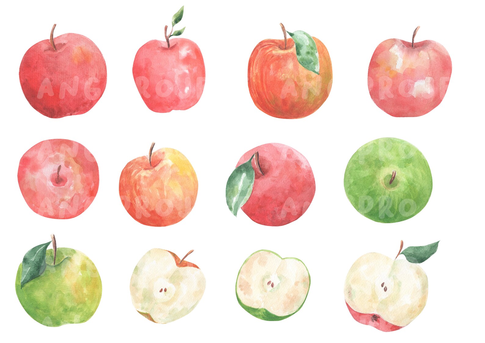 Apple Watercolor Clipart, Apple Slice PNG, Pear Watercolor Clipart ...