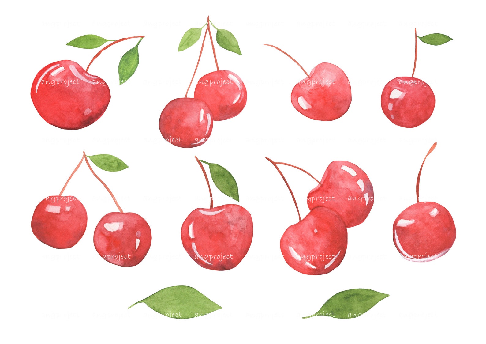 Watercolor Cherry Clipart: Fruit Illustration PNG (digital Download) - Etsy