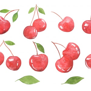 Watercolor Cherry Clipart, Watercolor Cherry PNG, Fruit Cherry Clipart ...