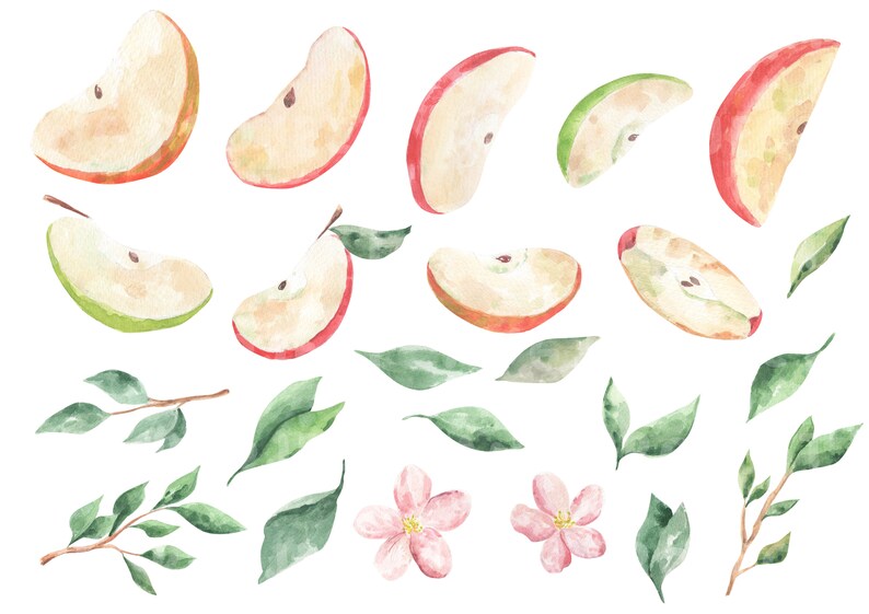 Apple Watercolor Clipart, Apple Slice PNG, Pear Watercolor Clipart ...
