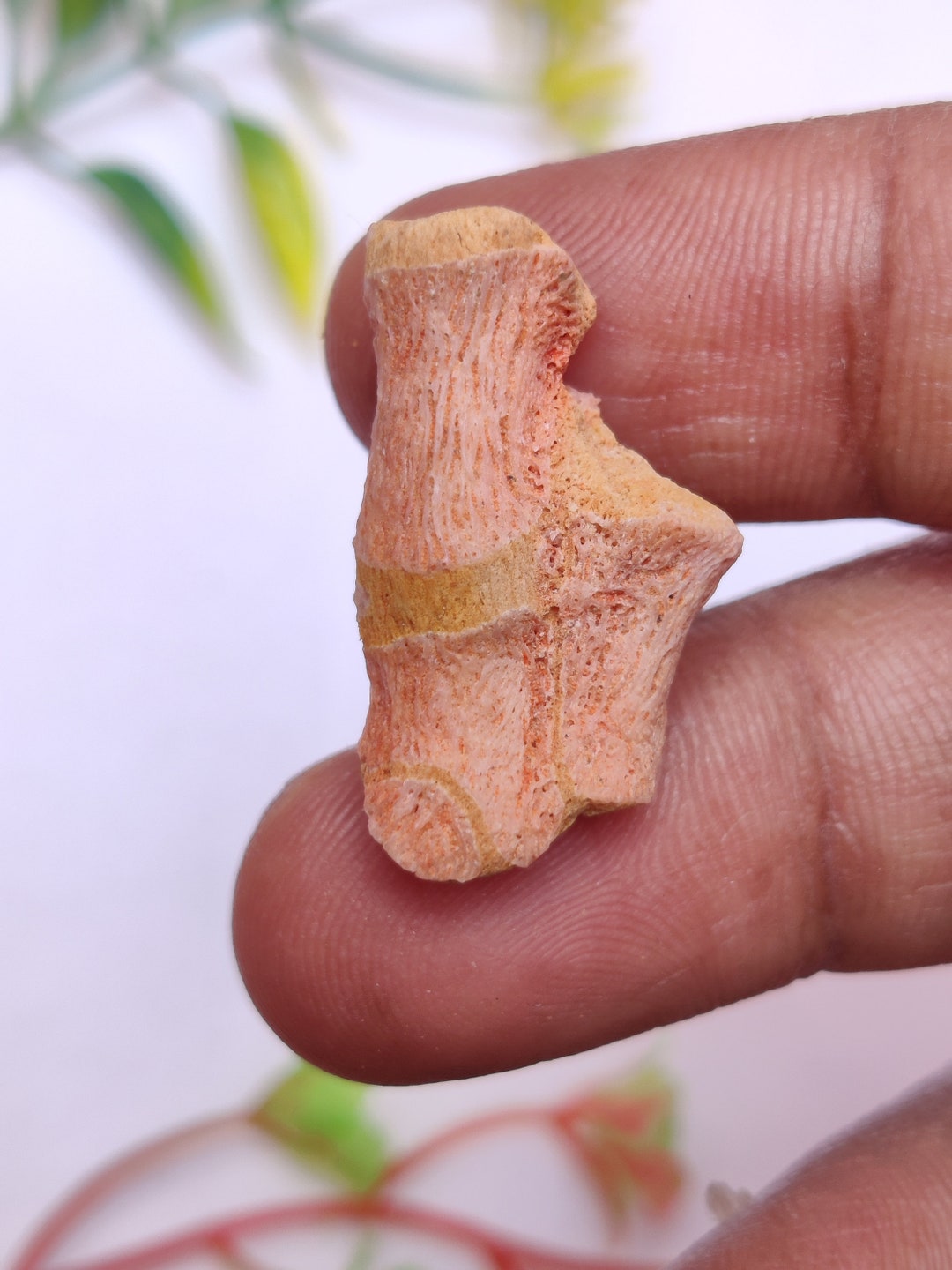 Natural Coral Raw, Natural Italian Coral Stick, Unpolished Coral Rough ...