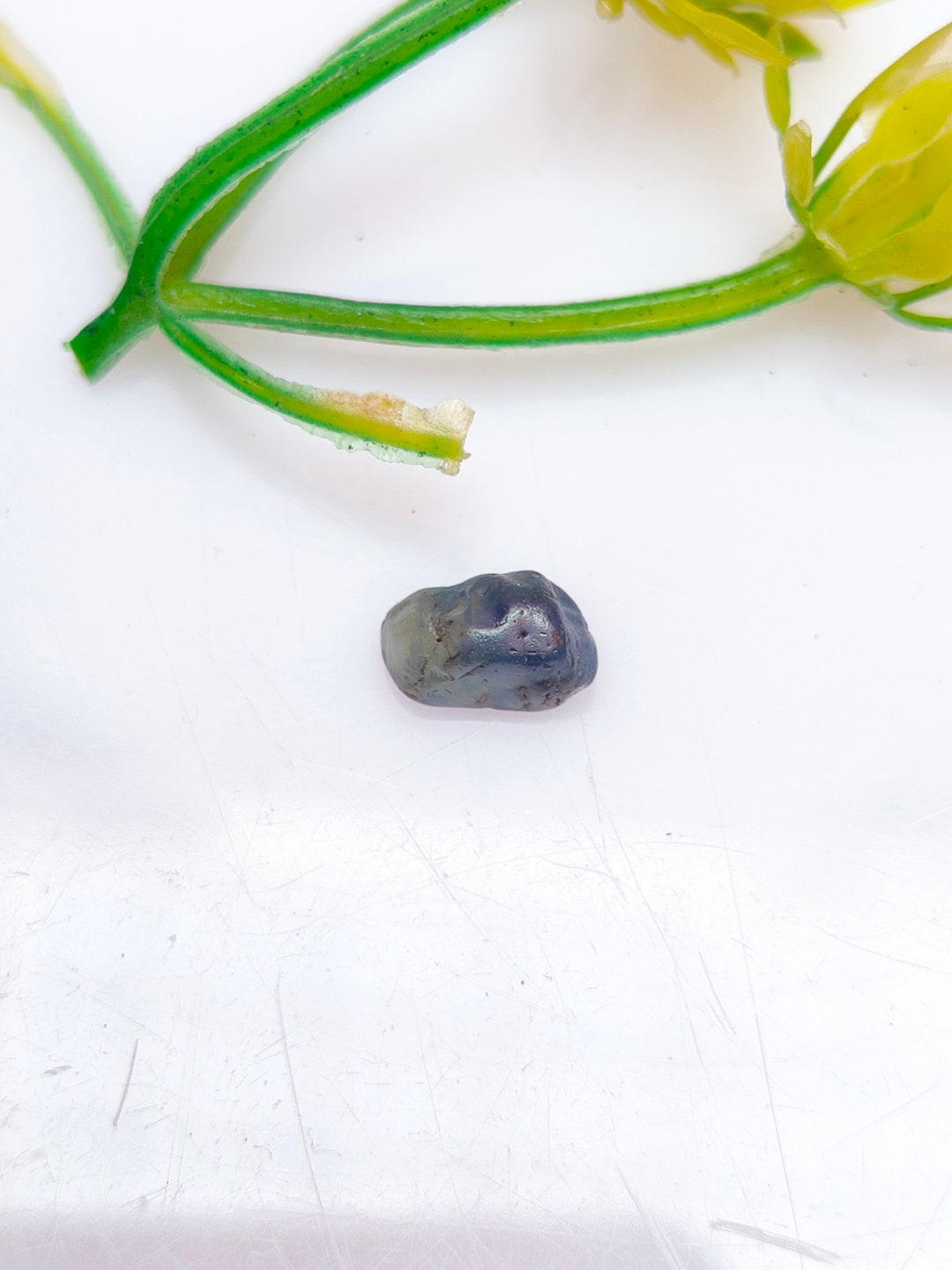 Natural Australian Parti Sapphire Raw, Bi Color Sapphire Raw, Raw ...