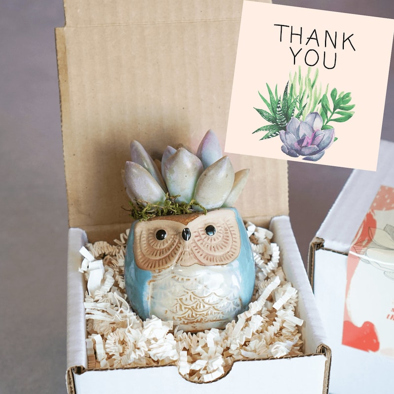 Dsp Week Gifts - 60+ Gift Ideas for 2026