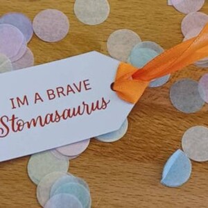 STOMASAURUS Teddy Theraputic Toy for Children Medical/stoma/ostomy ...