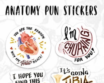 Human Anatomy Puns