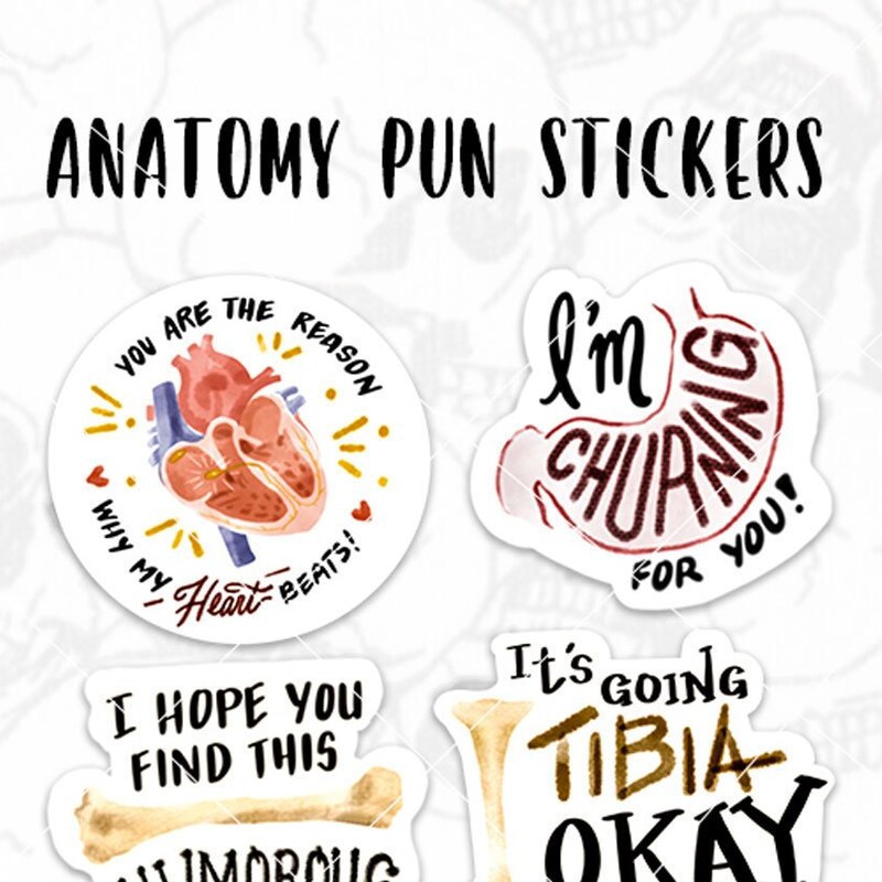 Anatomy Pun Stickers - Etsy