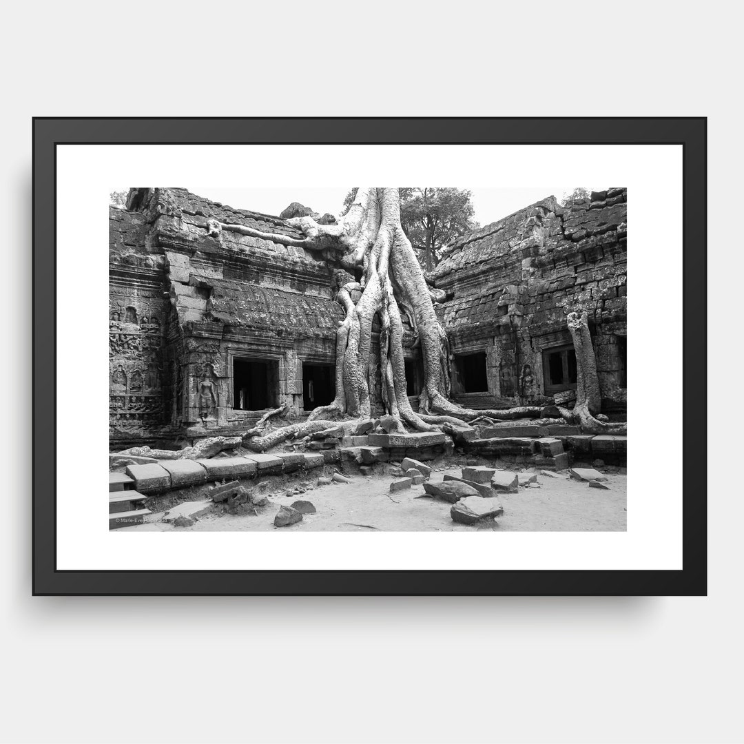 Trees of Ta Prohm, Cambordia, Black & White Photography - Etsy