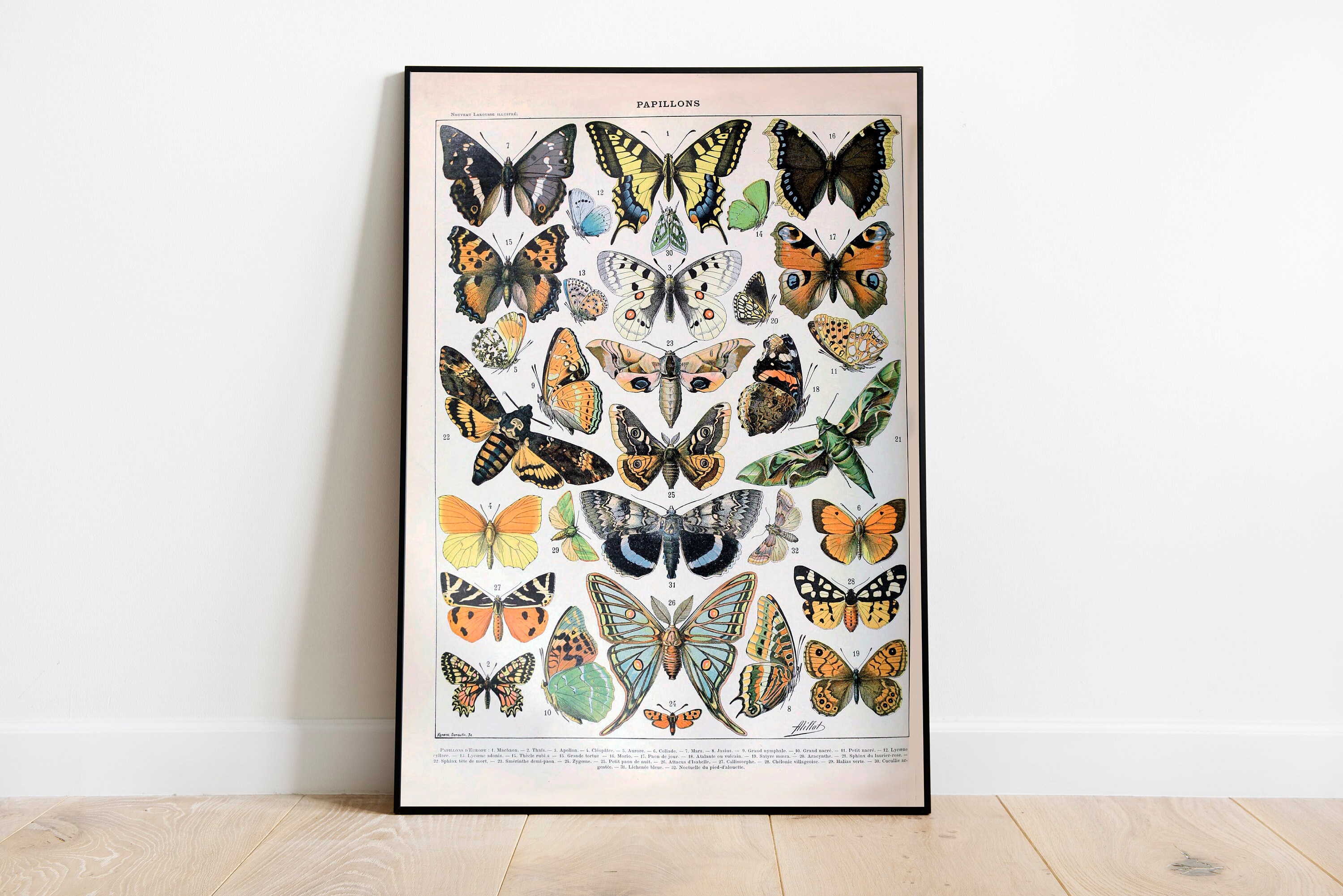 Vintage Papillons Poster Papillons Wall Art Butterflies - Etsy
