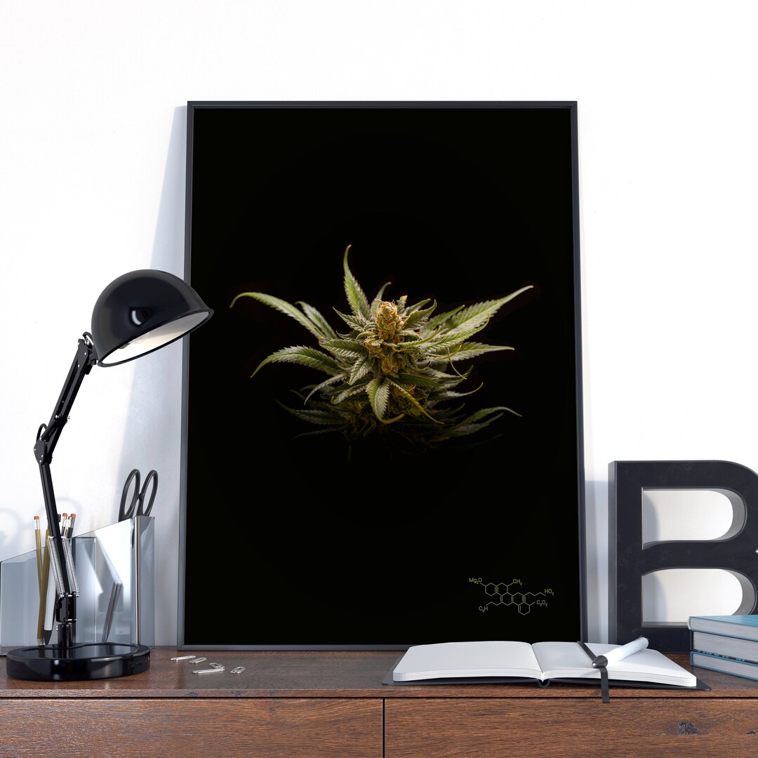 Cannabis Print, Cannabis Photo Artwork, Marijuana Poster Nature, Weed ...